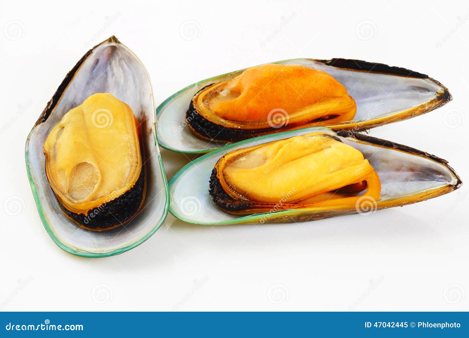 Three mussels stock image. Image of clams, omega, diet - 47042445
