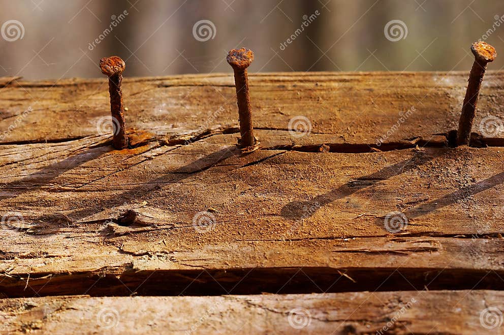 Three nail stock photo. Image of boards, corrosion, background - 642138