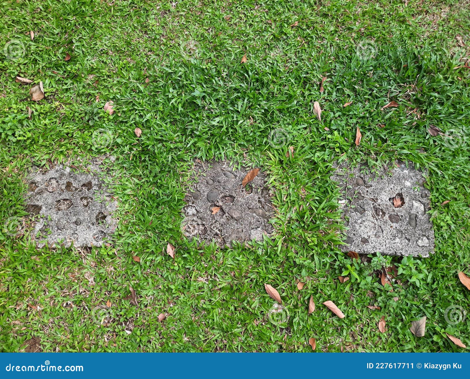 Three Natural Stone Steps among the Grass Stock Image - Image of green ...