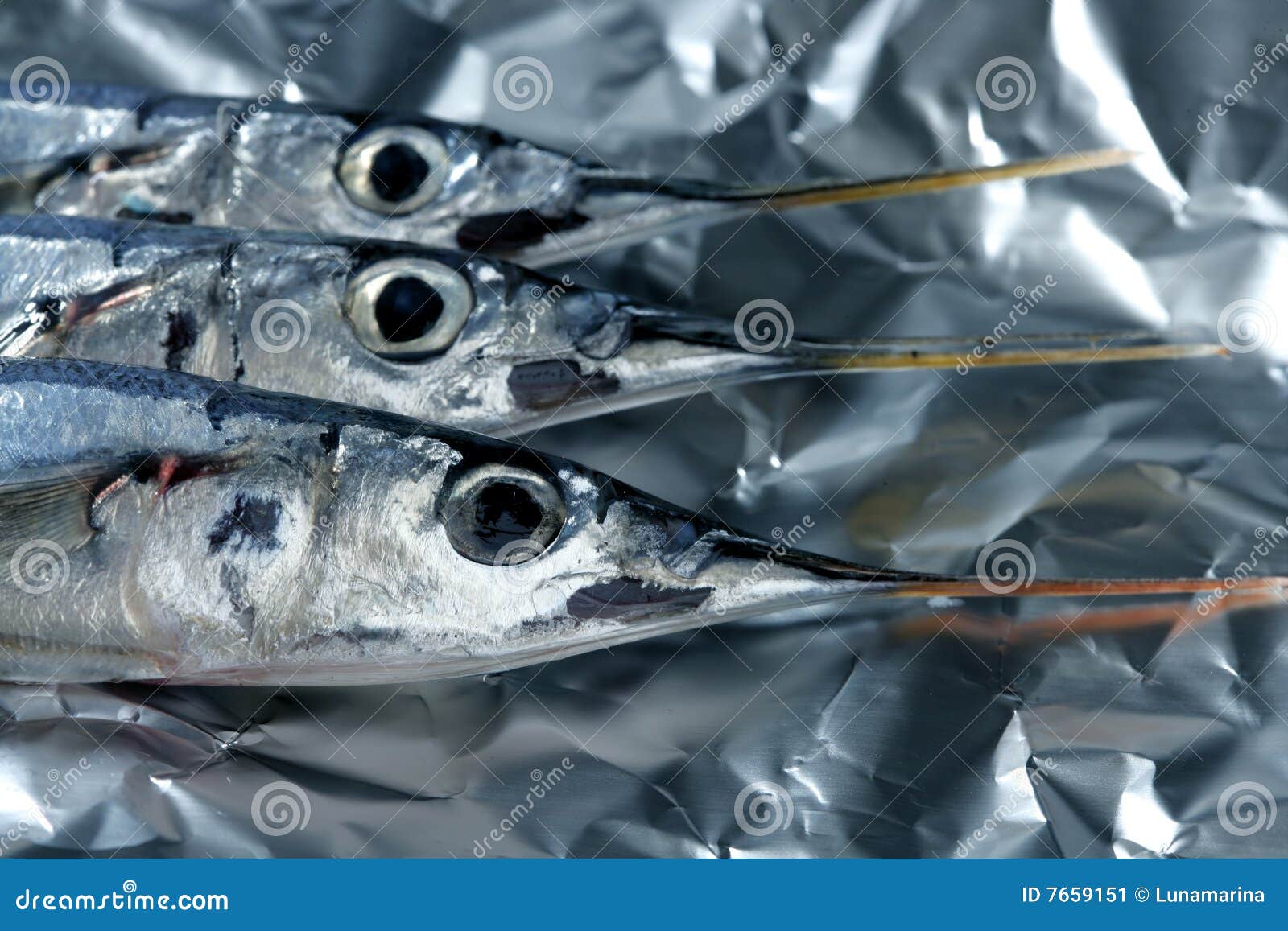 Three Needle Fish, Uncooked Macro Studio Shot Stock Image - Image of ...