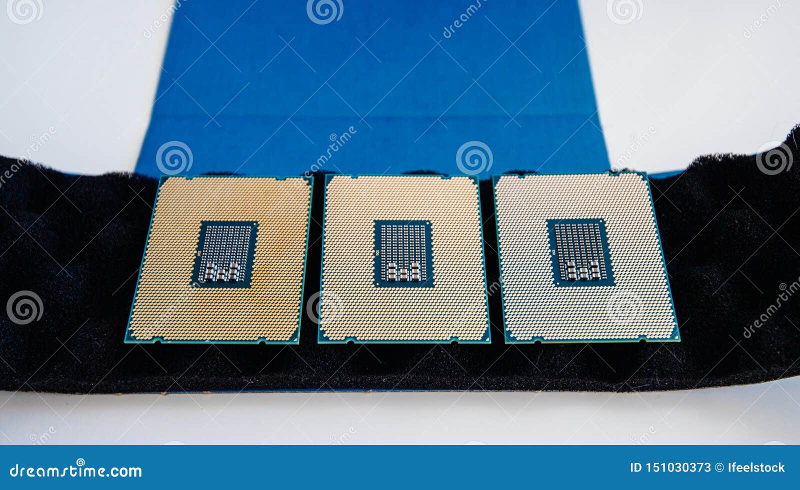 Three New Powerful CPU Intel Xeon Workstation Processor Stock Image ...