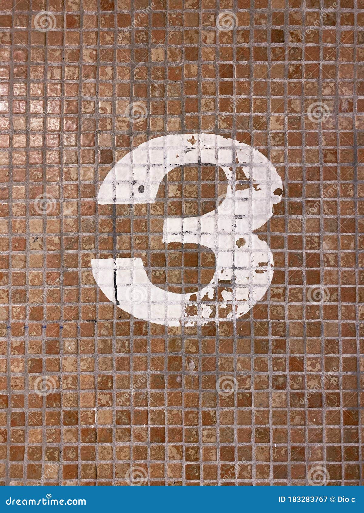 Three stock image. Image of wall, three, brown, white - 183283767