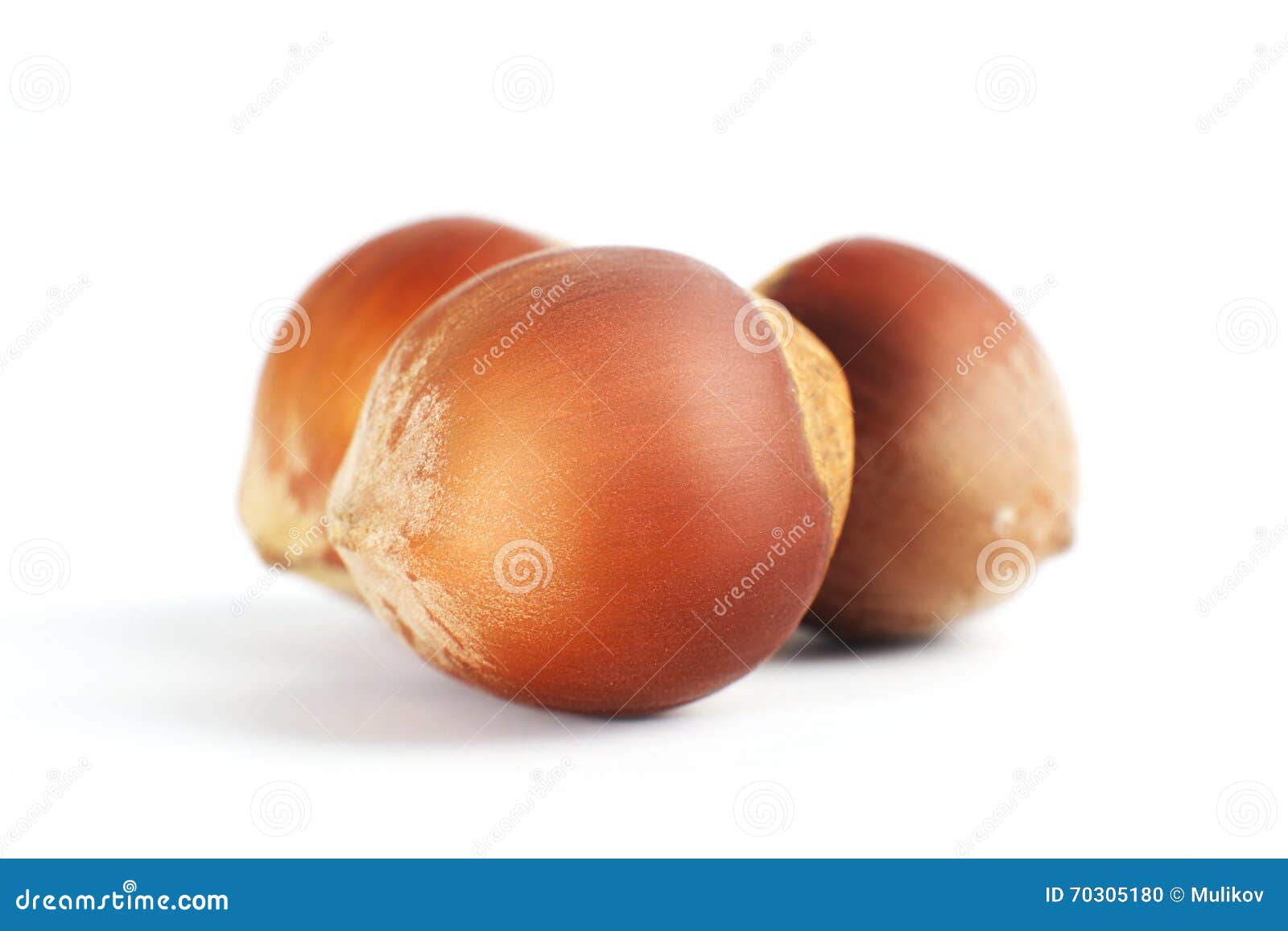 Three Nuts Vitellaria Paradoxa , Commonly Known As Shea Tree Or Royalty ...