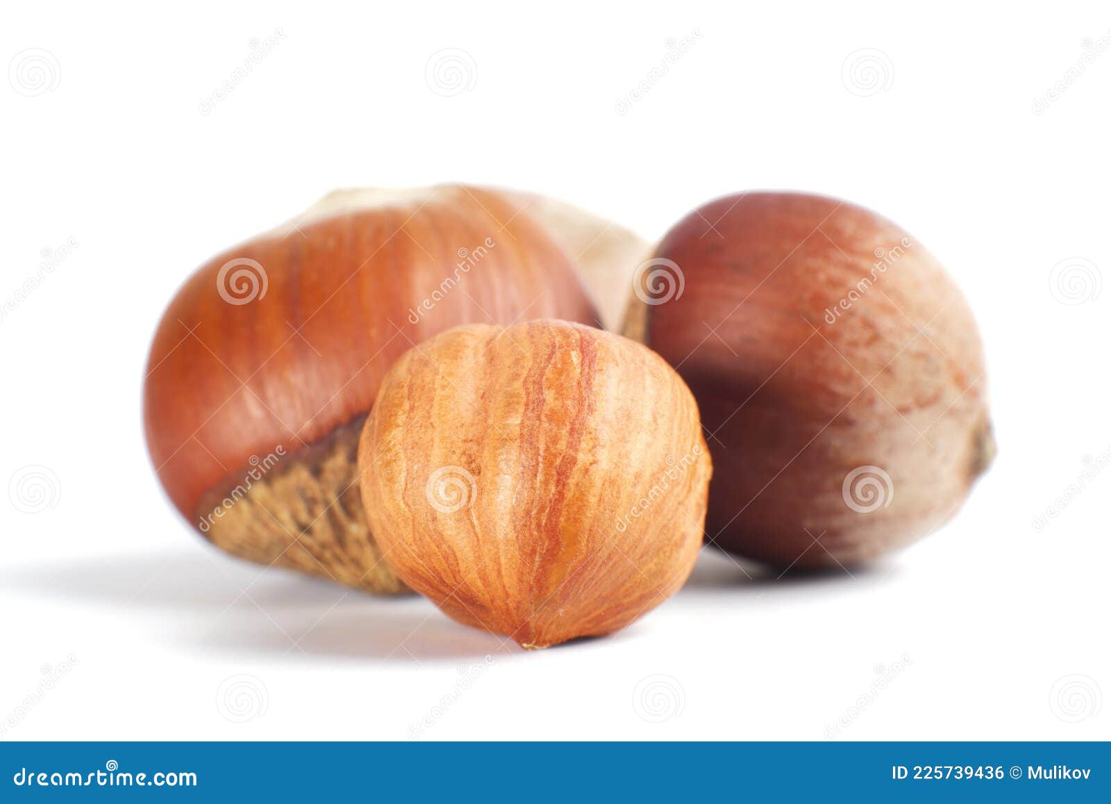 Three Nuts Filberts Isolated on White Background. Stock Photo - Image ...
