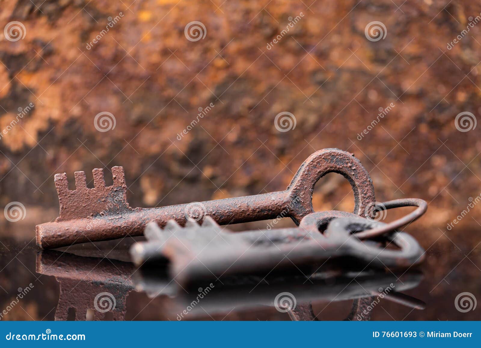 Three Old Rusty Keys with Reflections Stock Image - Image of metal ...