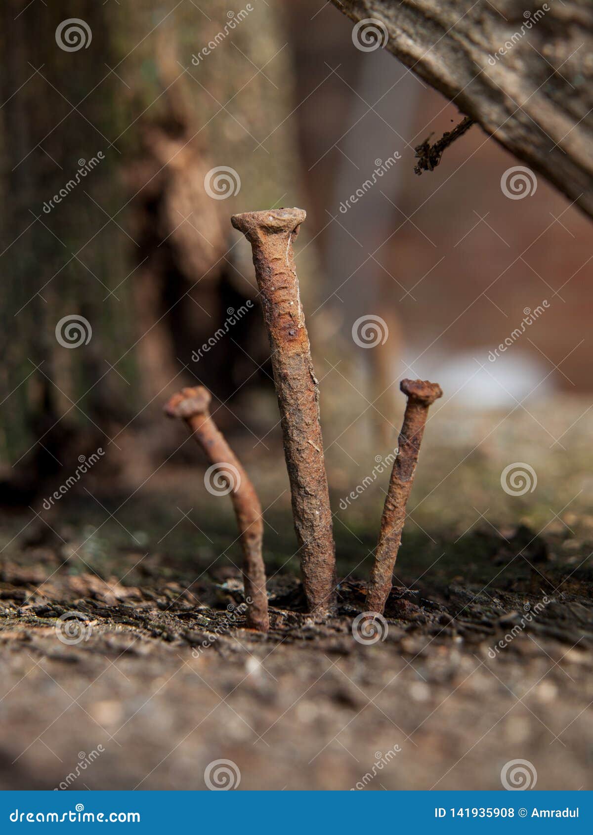 Three old rusty nails stock photo. Image of plank, architecture - 141935908