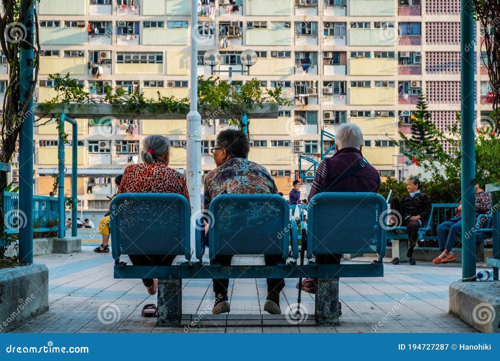 Three Older Women on Bench from Behind, Old People Sitting on Bench ...