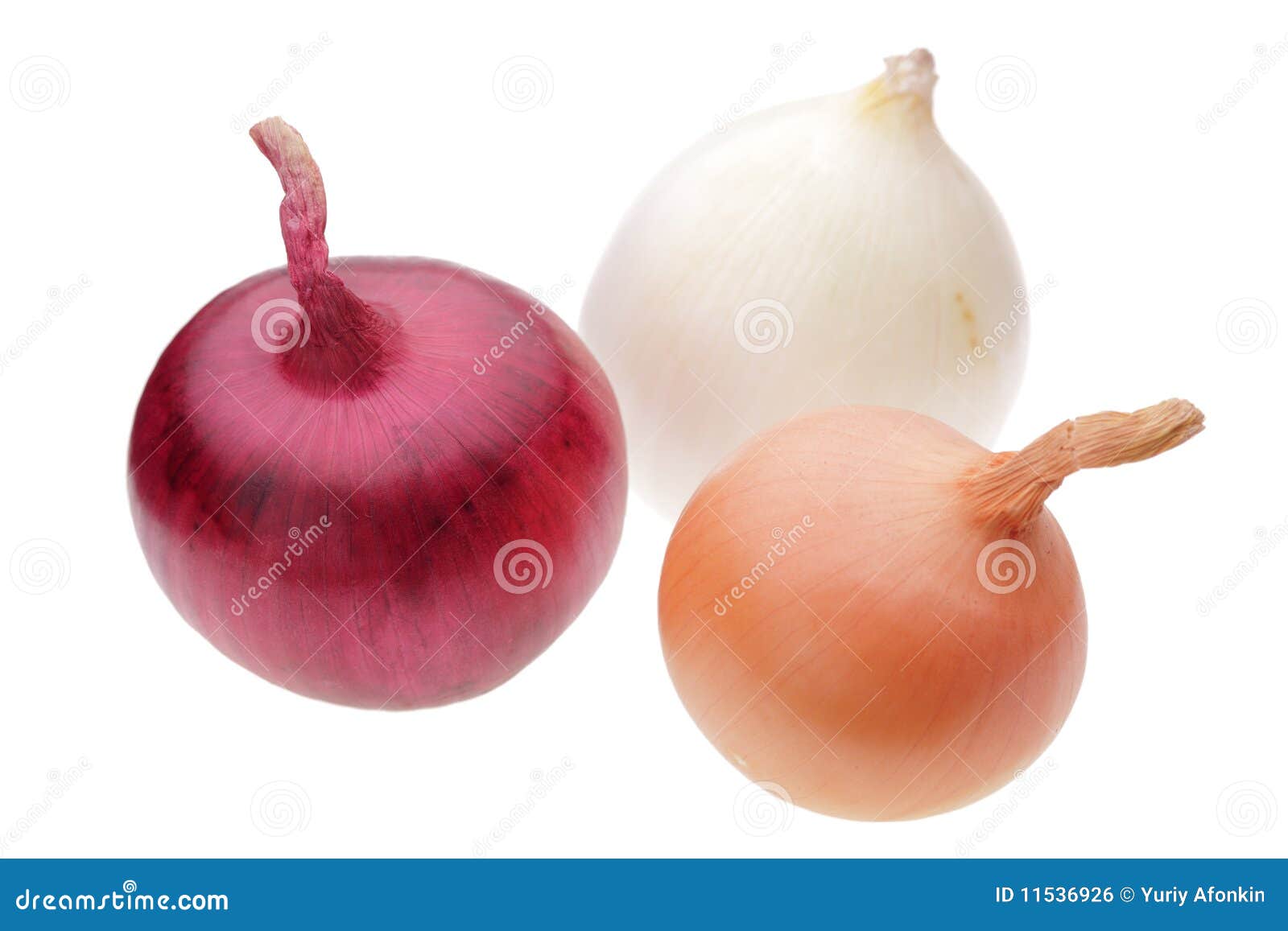 Three onion bulbs stock photo. Image of studio, vegetarian - 11536926
