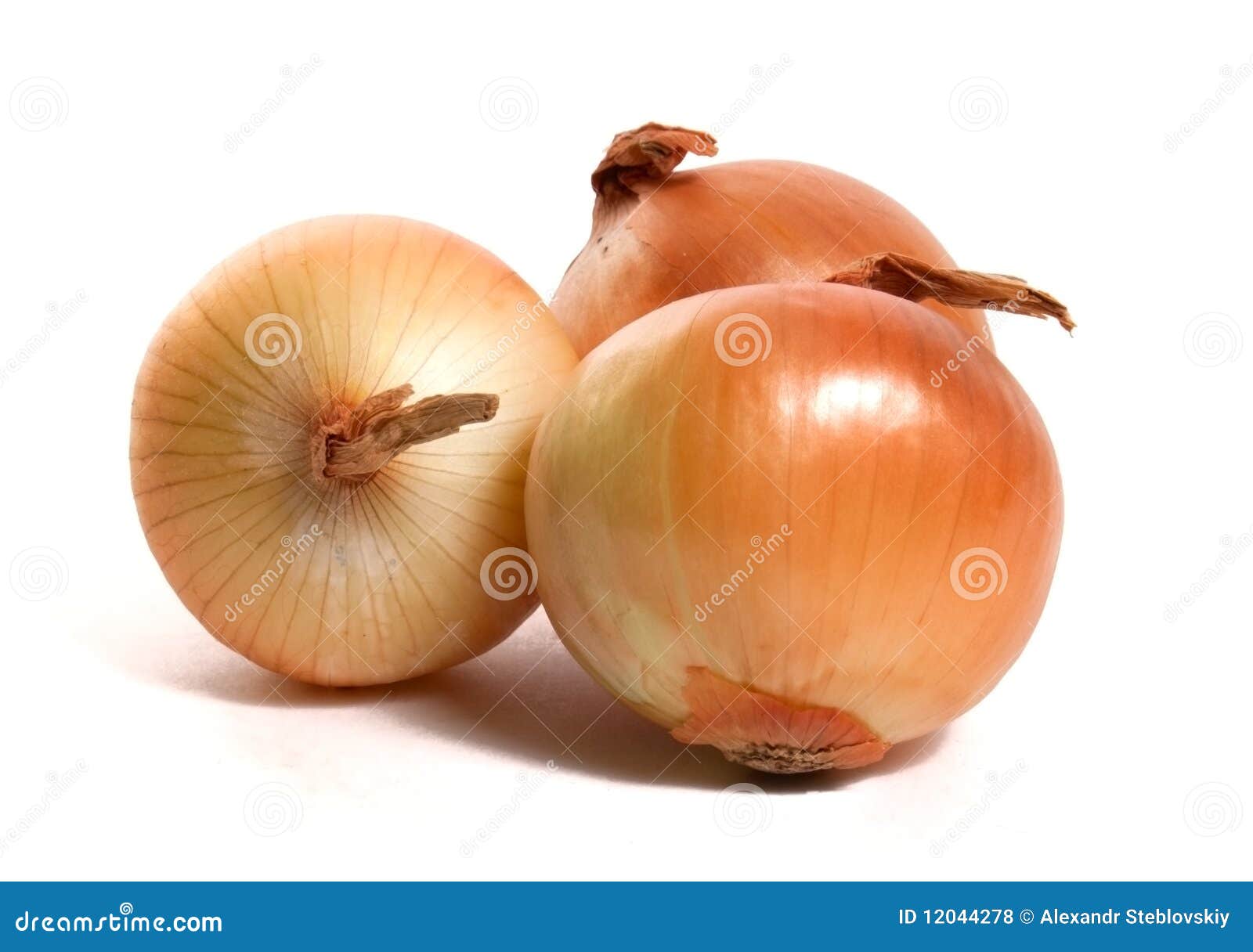 Three onions stock photo. Image of single, healthy, organic - 12044278