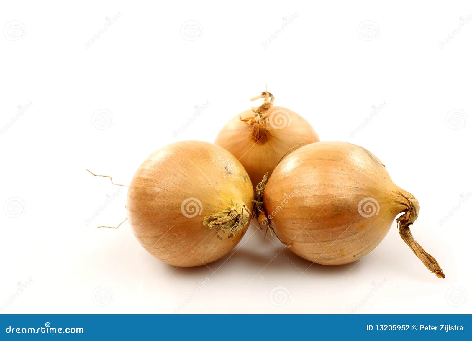 Three onions stock photo. Image of organic, diet, bulb - 13205952