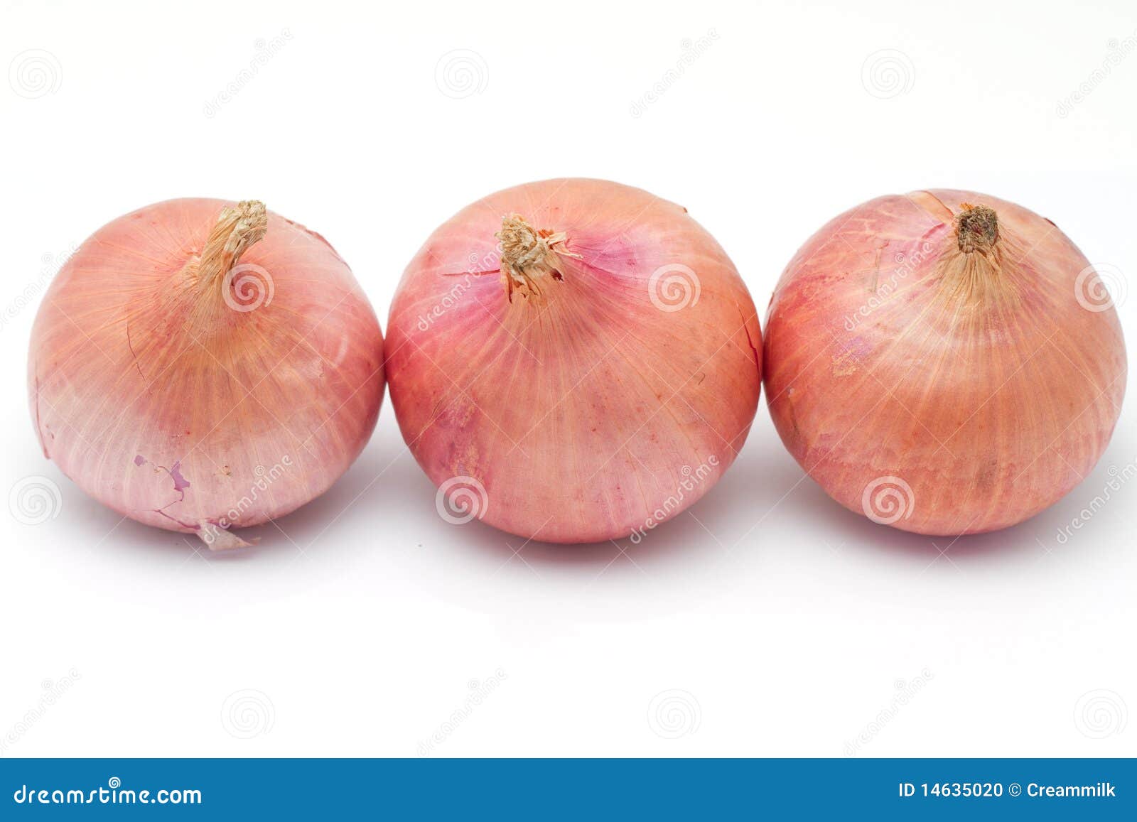 Three Onions stock photo. Image of flavoring, vegetable - 14635020