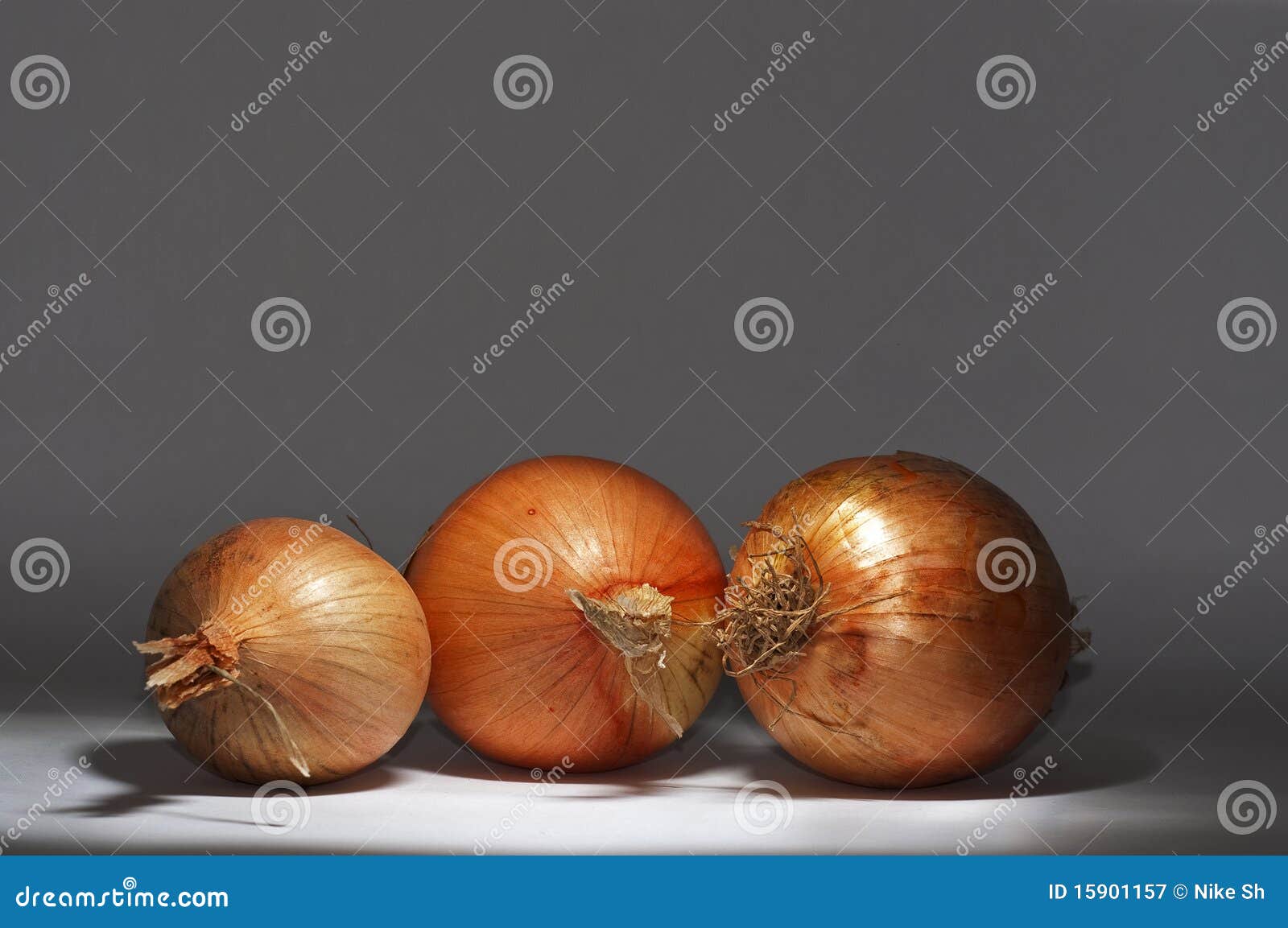 Three onions stock image. Image of vegetables, seasoning - 15901157