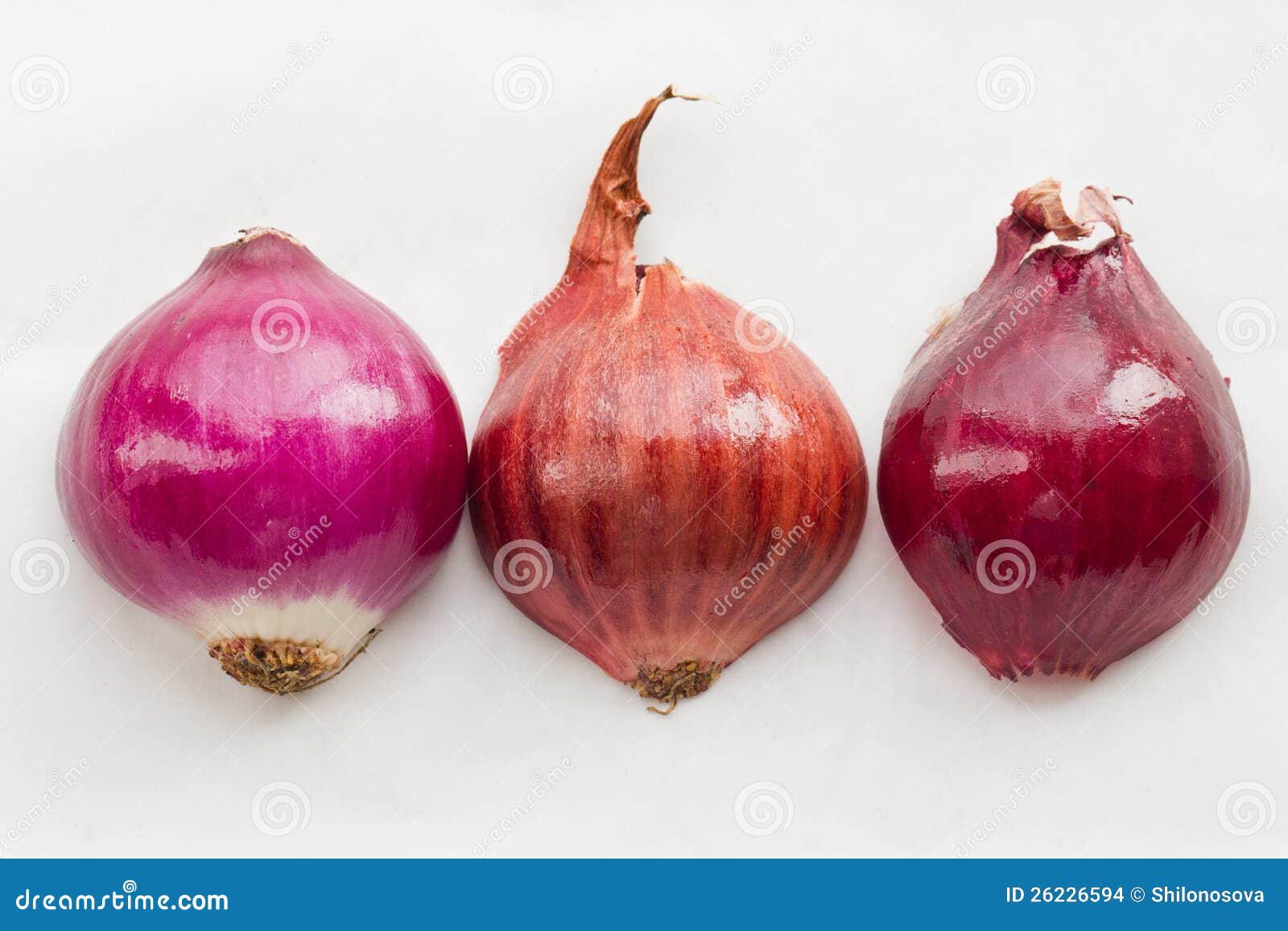 Three onions stock photo. Image of healthy, vegetarian - 26226594