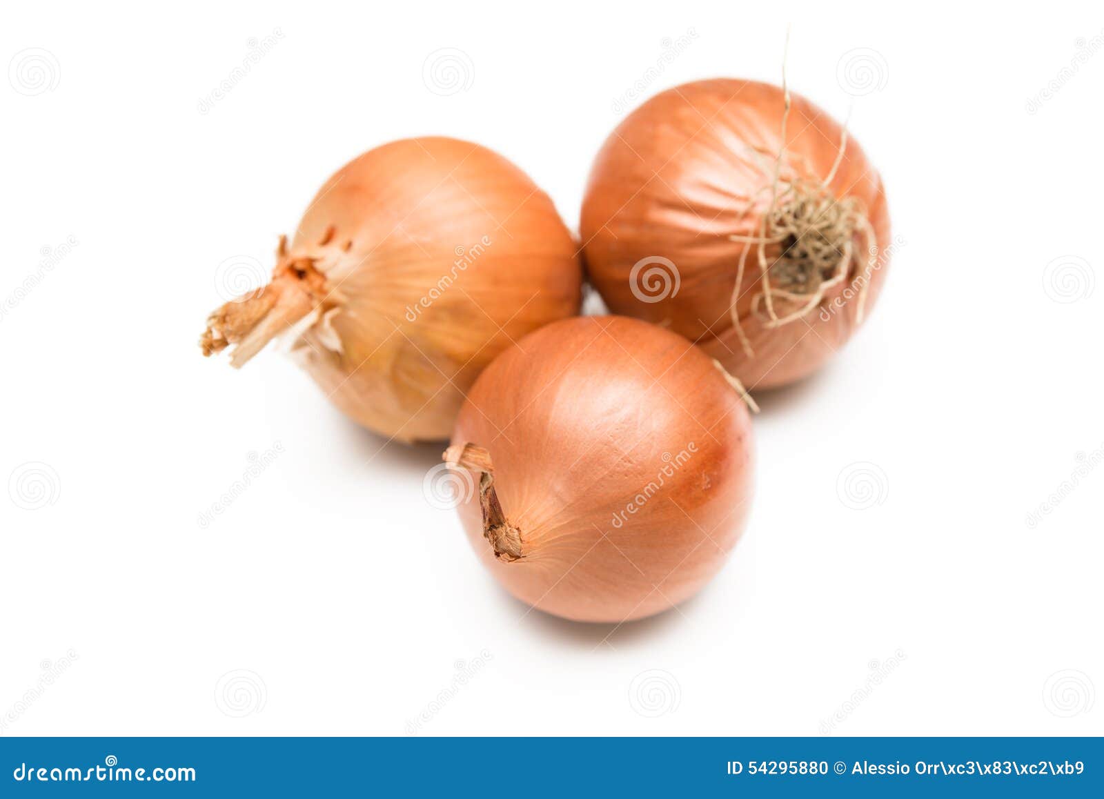 Three onions stock photo. Image of white, ingredient - 54295880