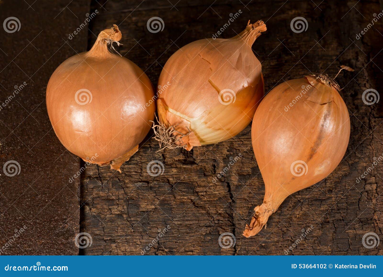 Three onions stock photo. Image of herb, ingredient, dark - 53664102