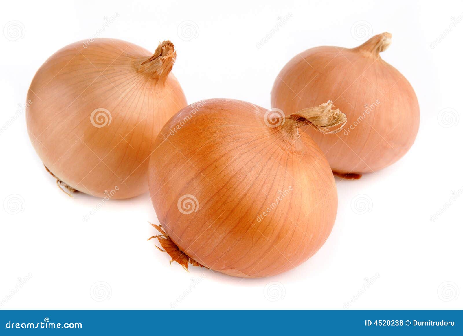 Three Onions on White Background Stock Photo - Image of open, harvested ...