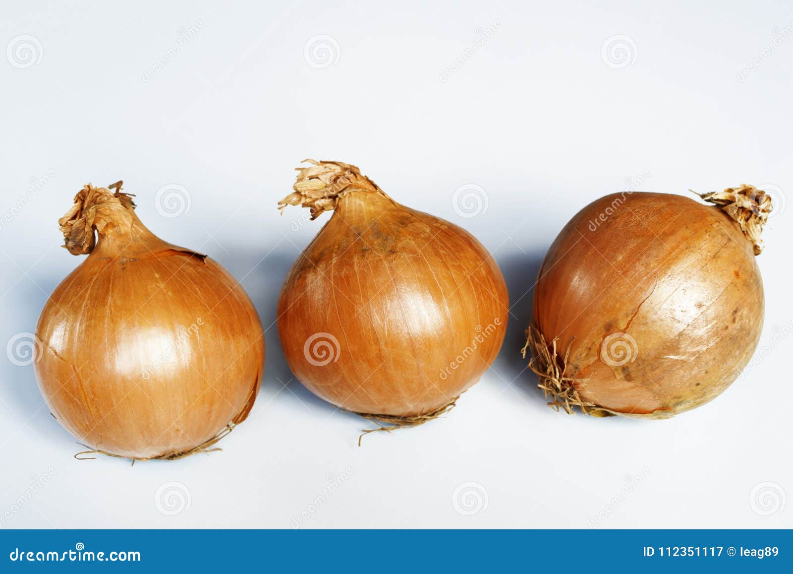 Three Onions on White Background Stock Image - Image of light ...