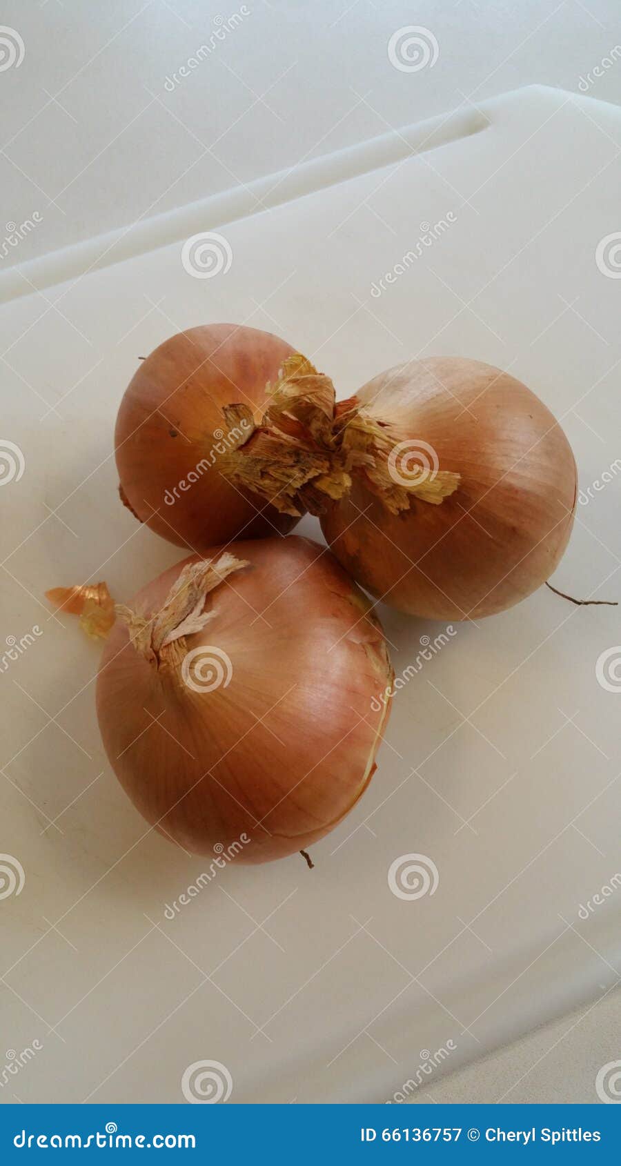 Three onions stock image. Image of chopping, white, onions - 66136757