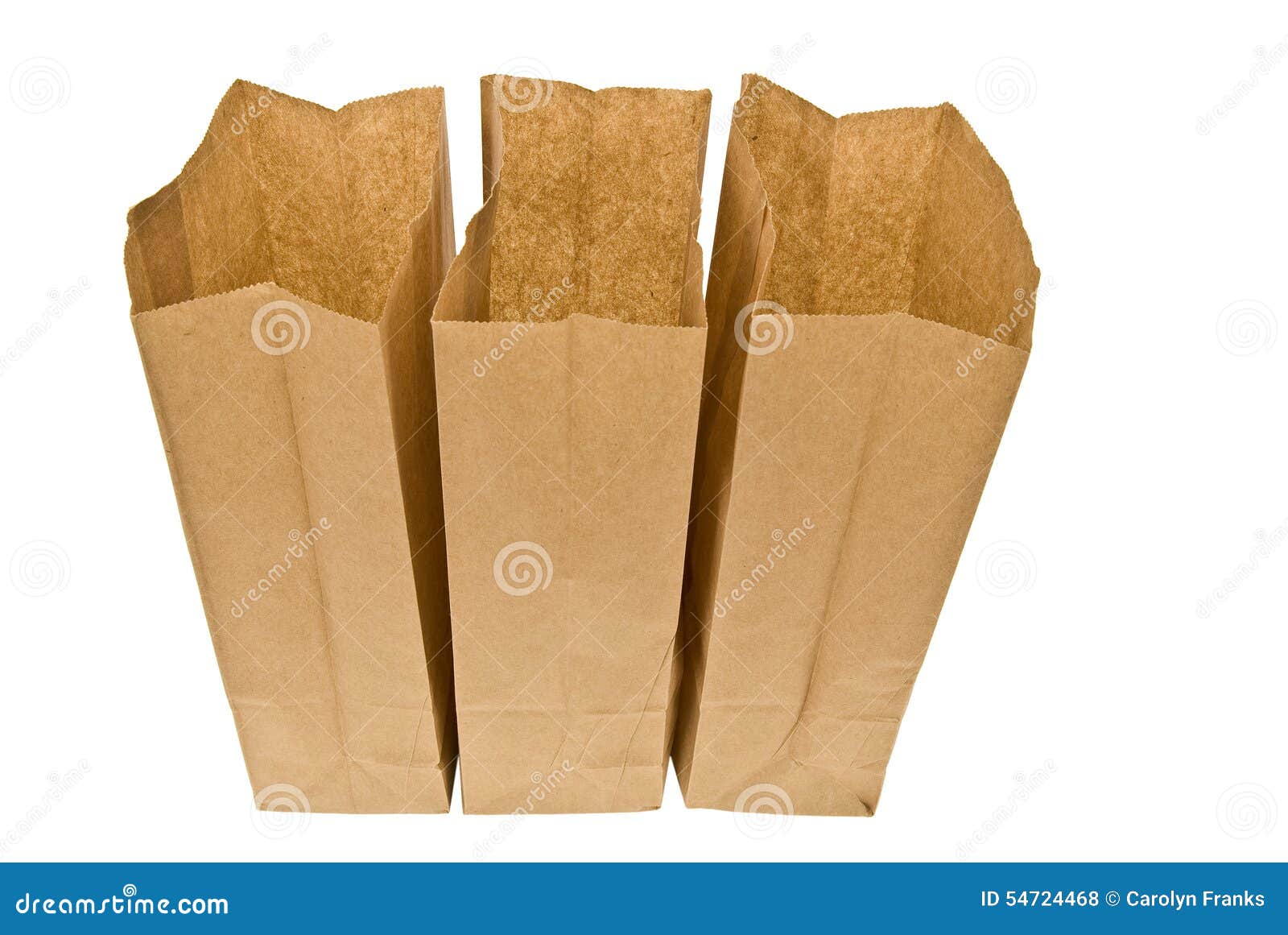 Three Open Mushrooms Stock Image | CartoonDealer.com #102941461