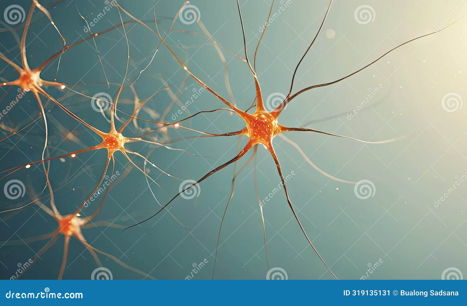Three Orange Cells are Shown in a Close Up View, with the Middle Cell ...