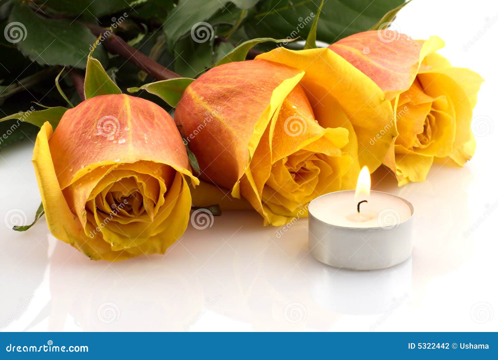 Three Orange Roses And A Burning Candle Picture. Image: 5322442