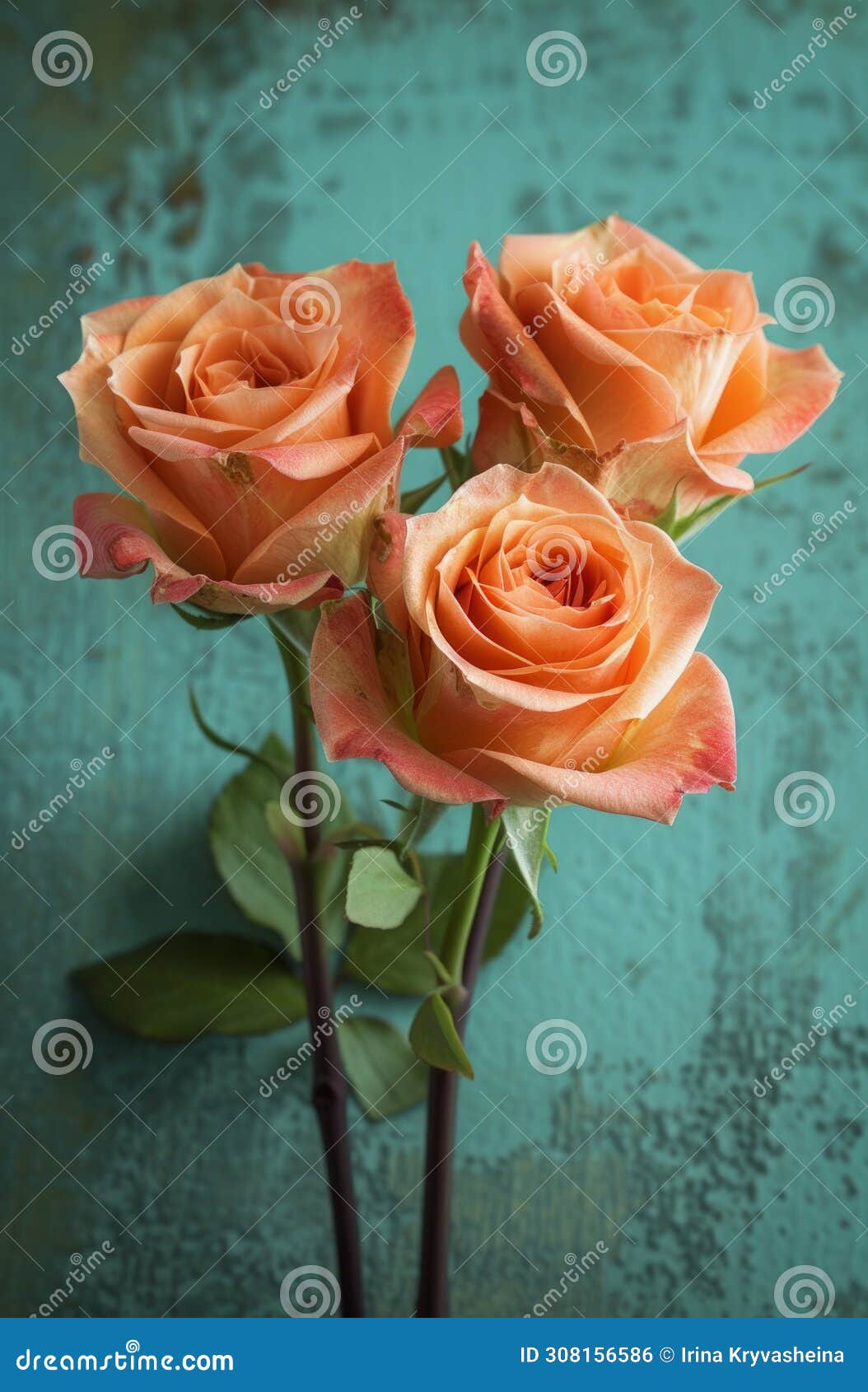 Three Orange Roses Sitting on a Green Surface Stock Photo - Image of ...
