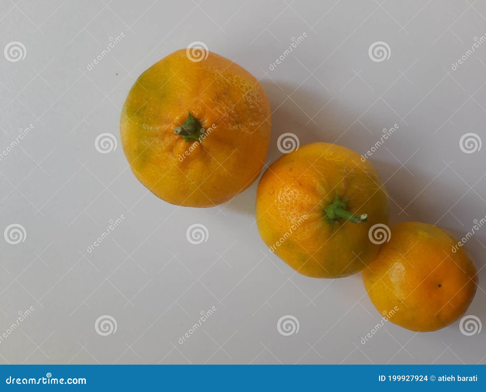 Three orange tangerines stock photo. Image of three - 199927924