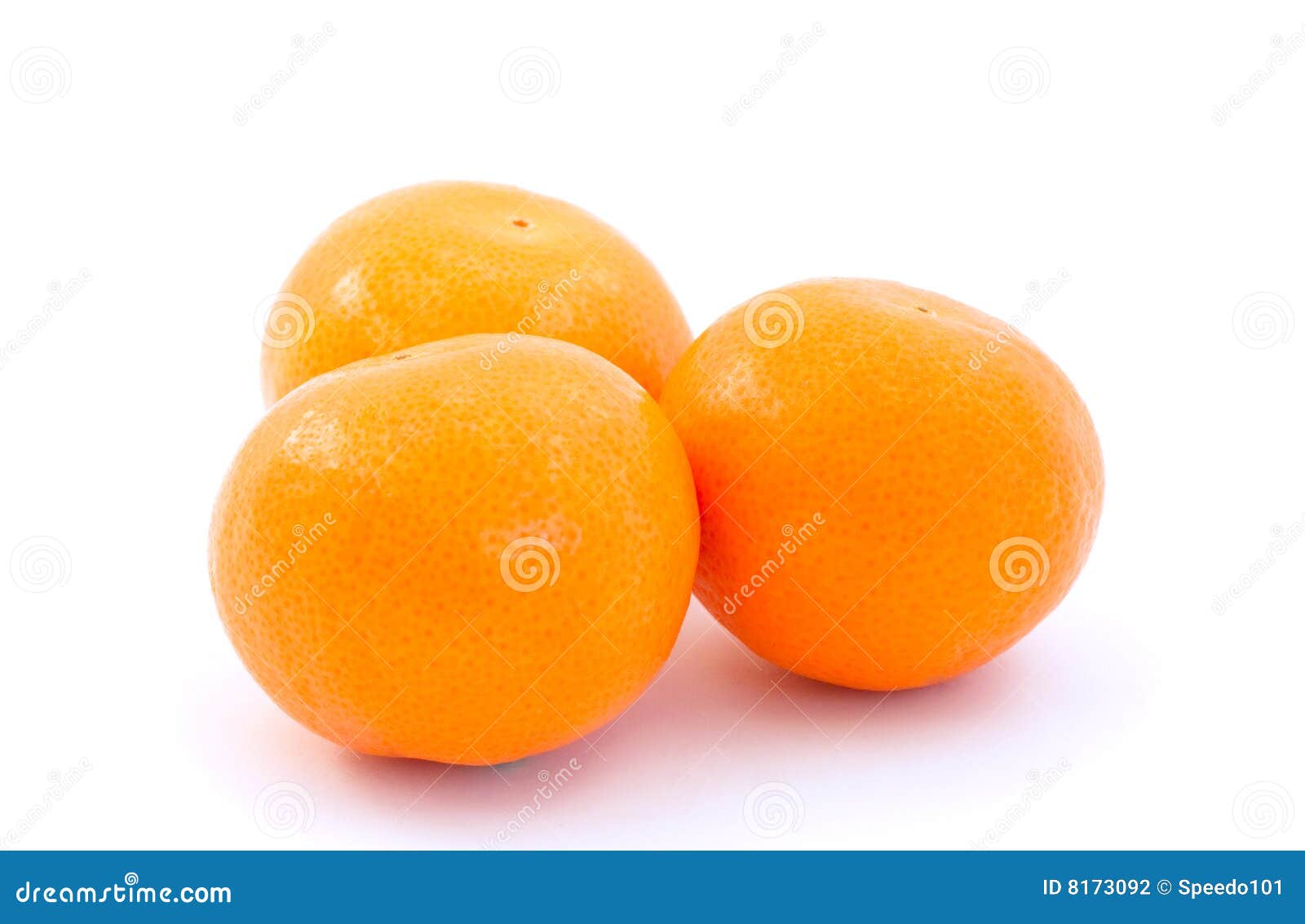 Three oranges stock photo. Image of group, natural, healthy - 8173092