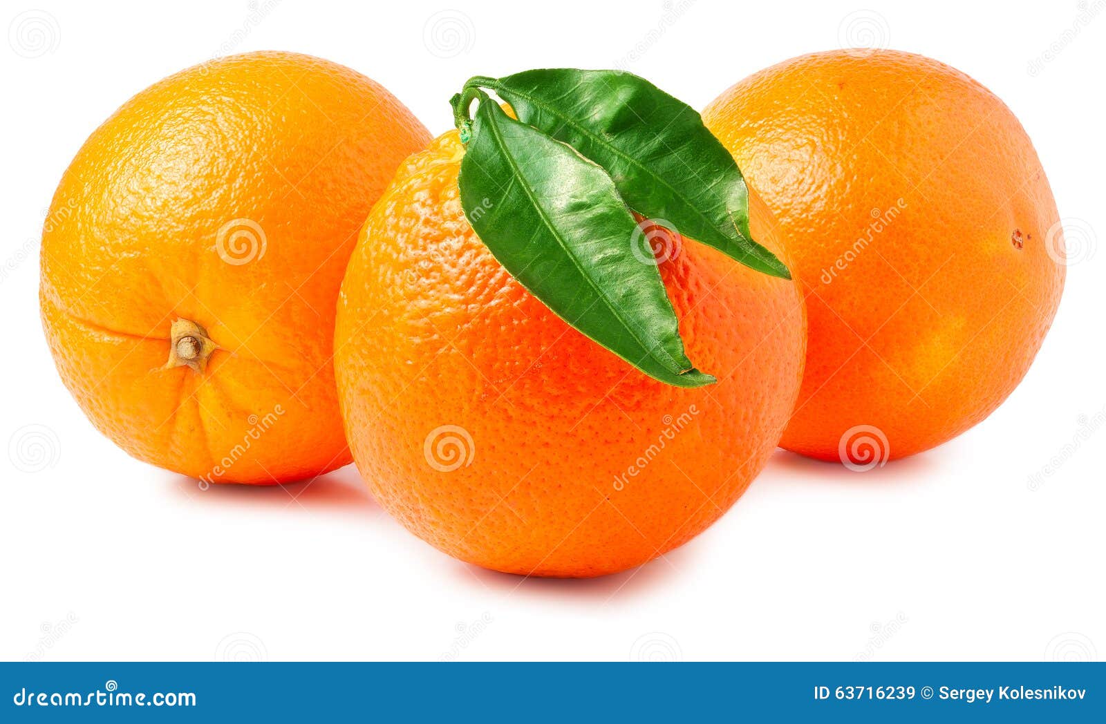 Three Oranges on a White Background Stock Image - Image of juice ...