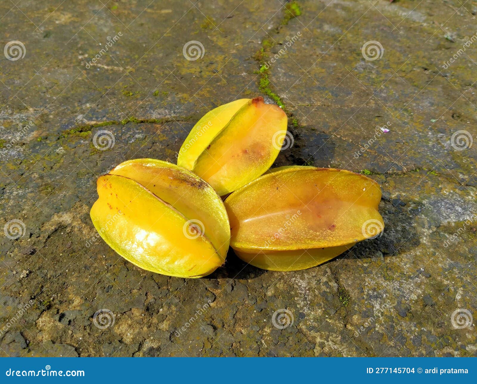 Three Overripe Yellow Star Fruit Fell from the Tree Stock Photo - Image ...