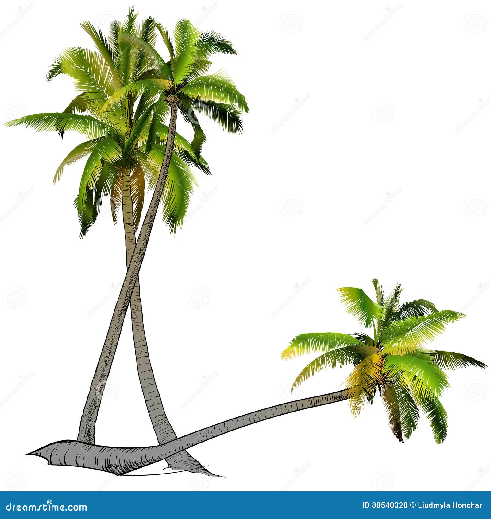 Three palm trees. stock vector. Illustration of outline - 80540328