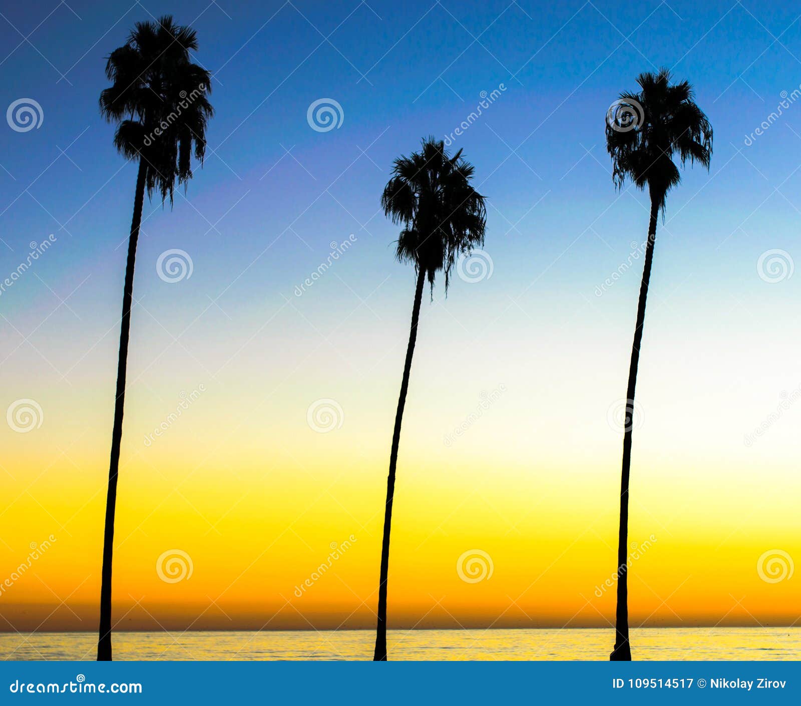 Three Palms on the Shore of the Ocean Stock Image - Image of mission ...