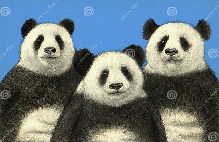 Three Panda Bears stock illustration. Illustration of cartoonic - 20247887