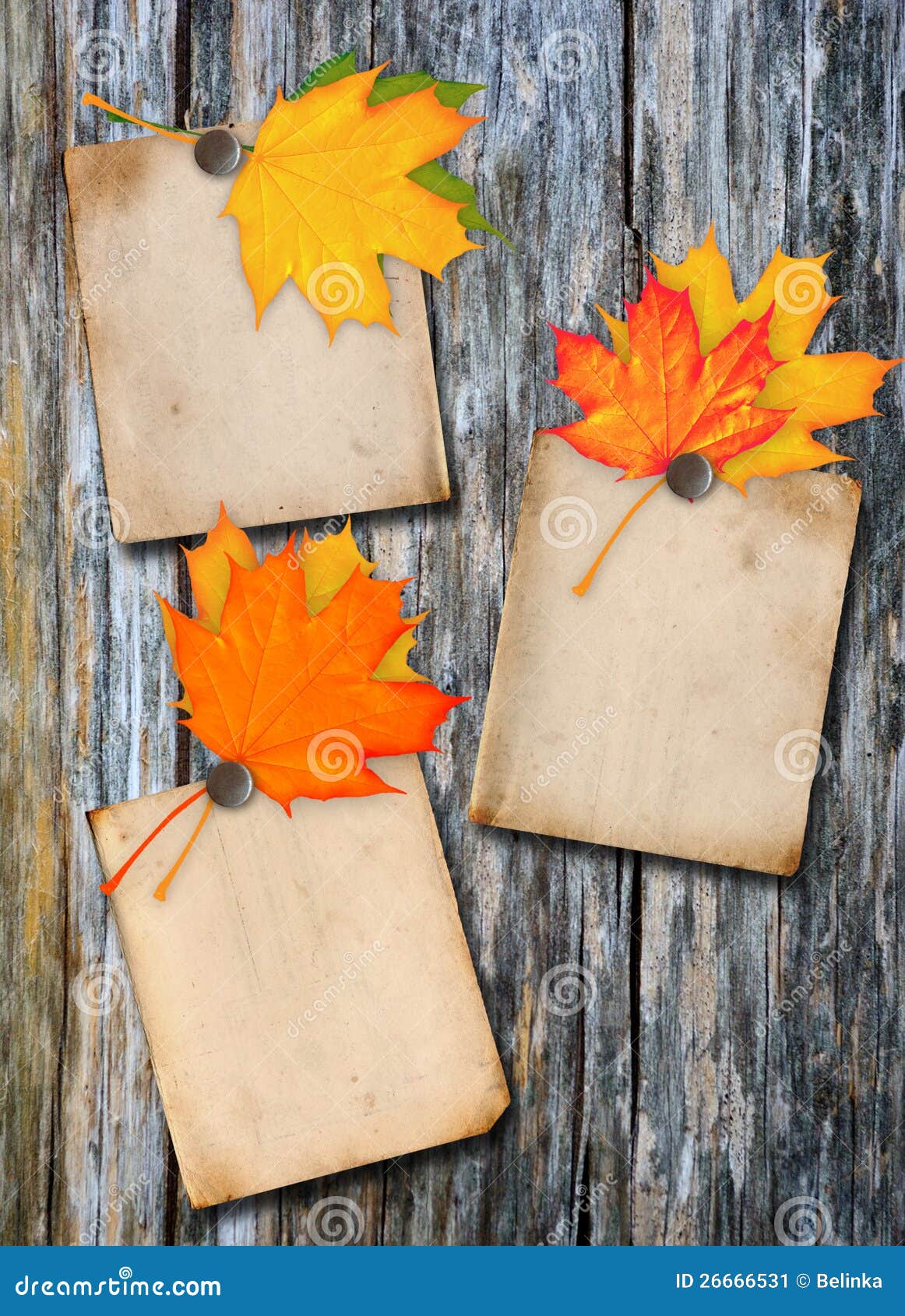 Three Paper Poster on a Wood Wall Stock Image - Image of grunge, aged ...