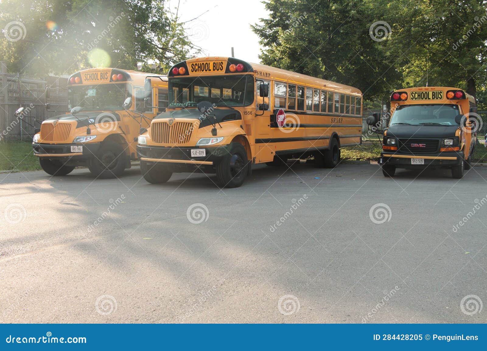 Three Parked Sharp Yellow and Black School Buses with Black Stripes ...