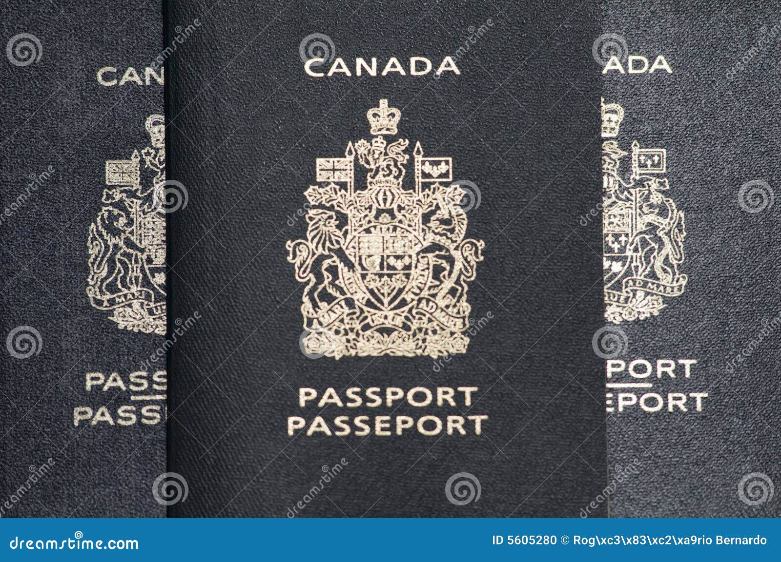 Three passports stock photo. Image of vacation, passport - 5605280