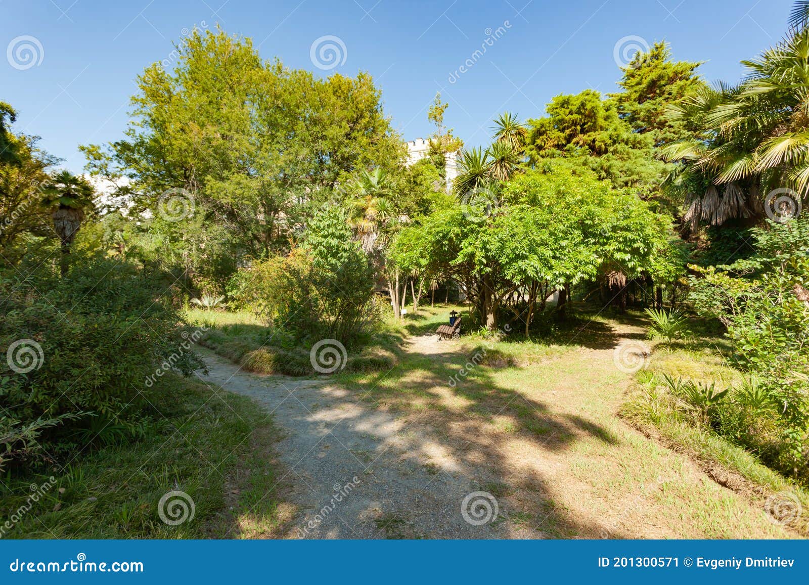 Three Paths Diverge in Different Directions Stock Image - Image of ...