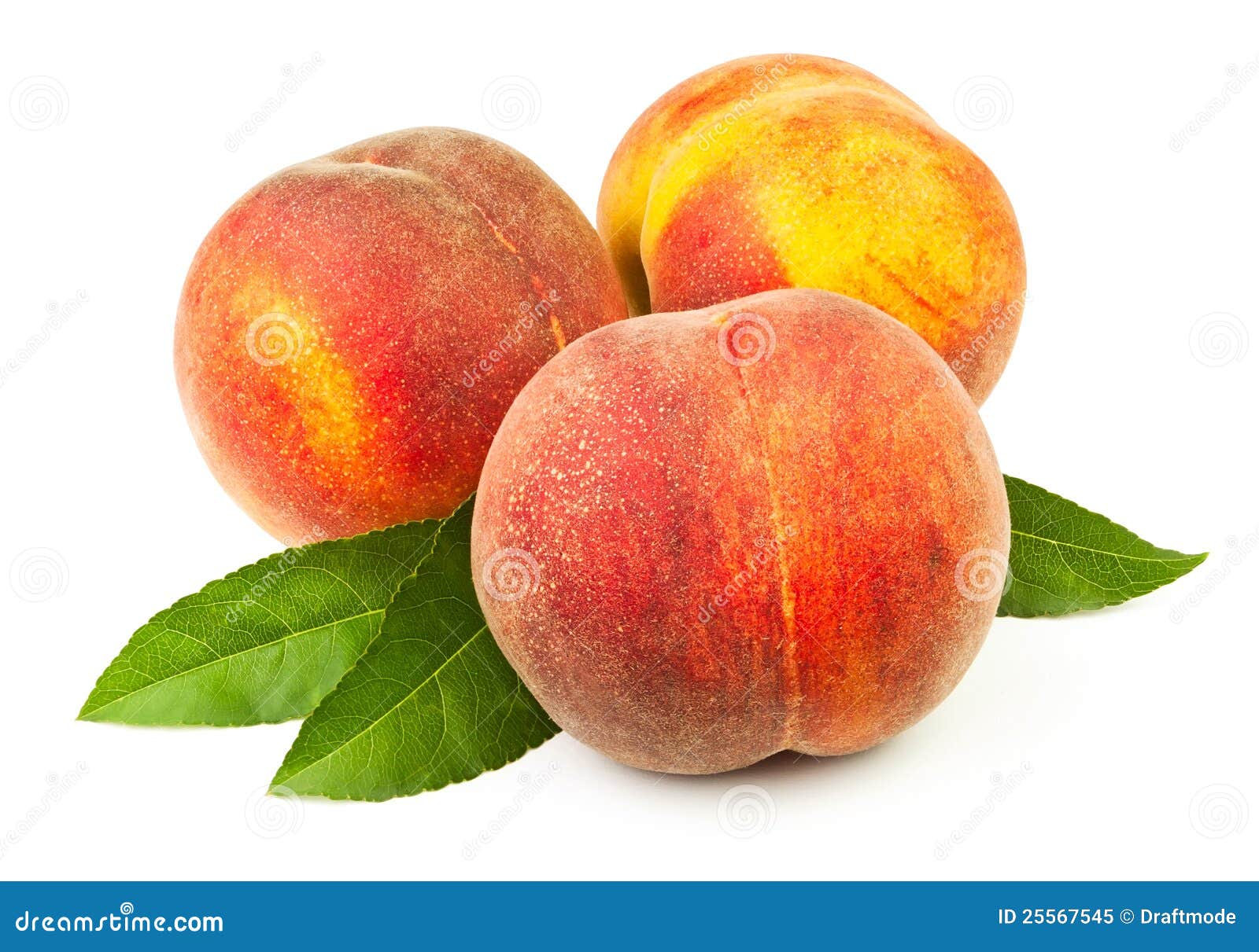Three peaches stock image. Image of group, orange, shadow - 25567545