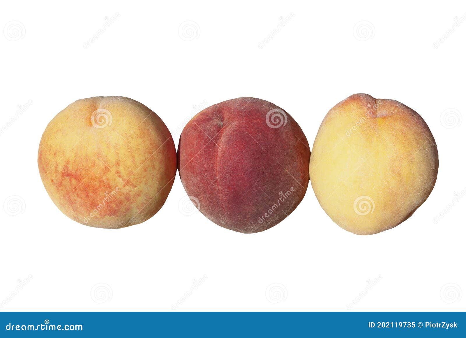 Three Peaches Horizontally Isolated on White Background Stock Image ...