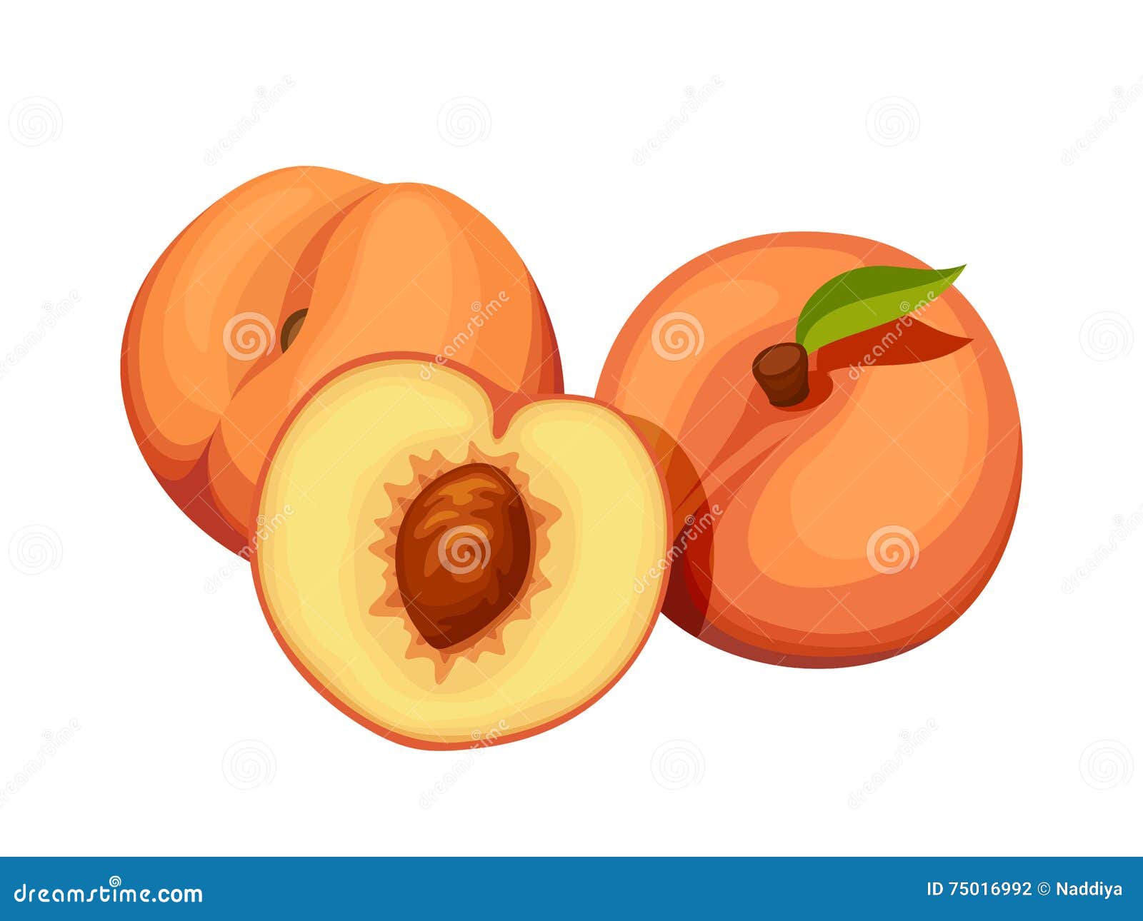 Three Peaches. Vector Illustration. Stock Vector - Illustration of ...