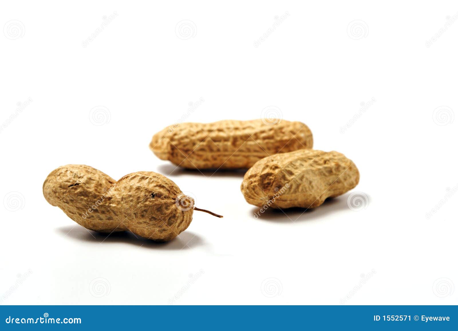 Three Peanuts stock image. Image of farmer, butter, brown - 1552571