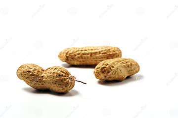 Three Peanuts stock image. Image of farmer, butter, brown - 1552571