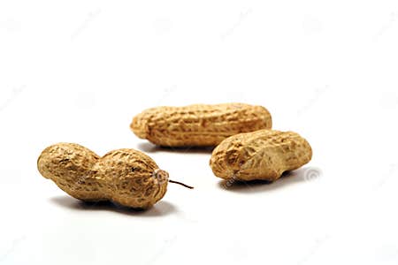 Three Peanuts stock image. Image of farmer, butter, brown - 1552571