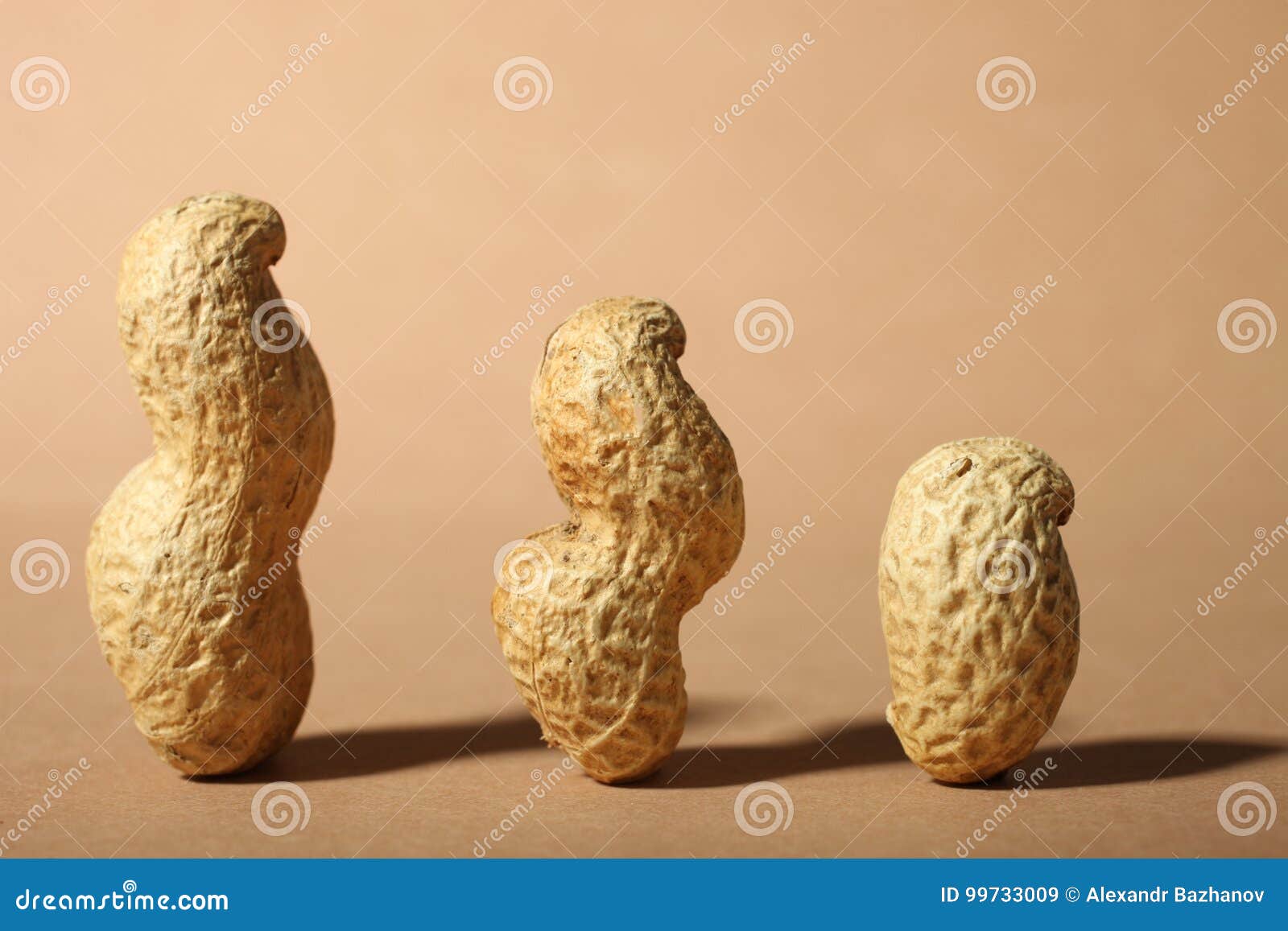 Three peanuts in a shell stock image. Image of tasty - 99733009