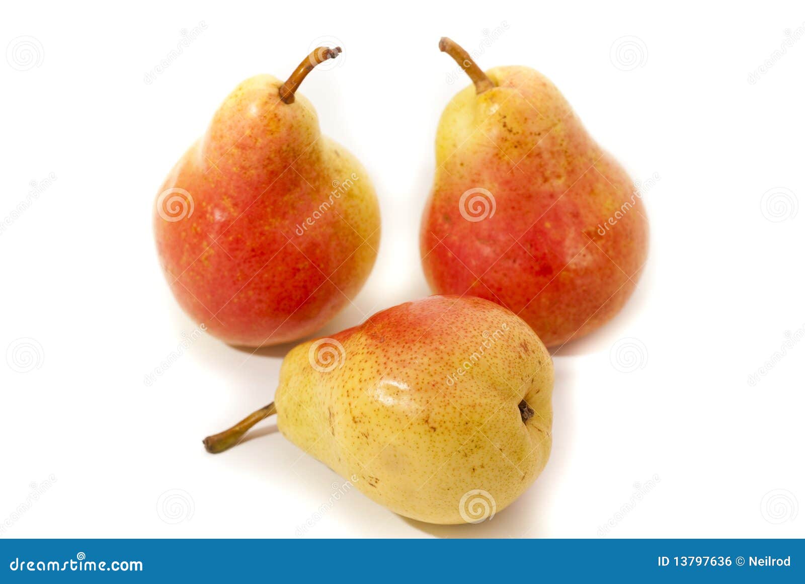 Three pears stock photo. Image of fruit, pears, juice - 13797636