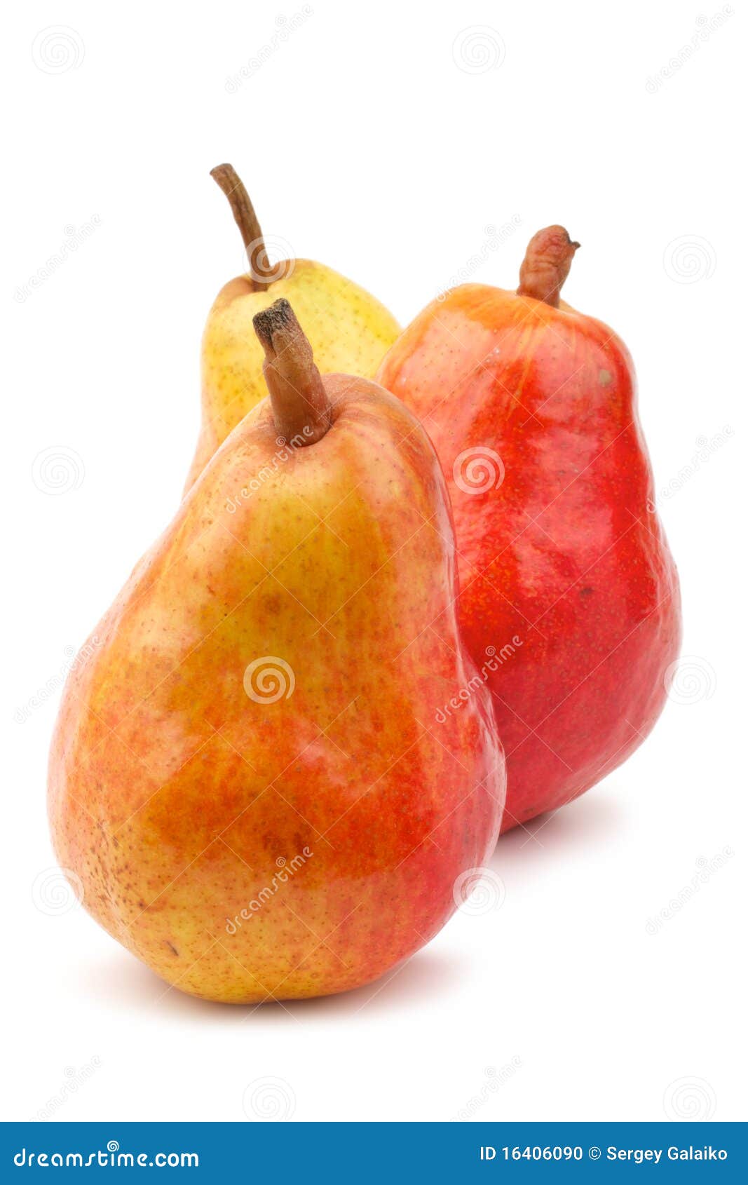 Three Pears stock photo. Image of vegetable, color, bright - 16406090