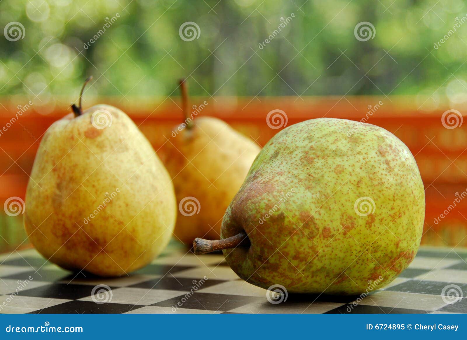 Three pears stock image. Image of outdoor, summer, fruit - 6724895