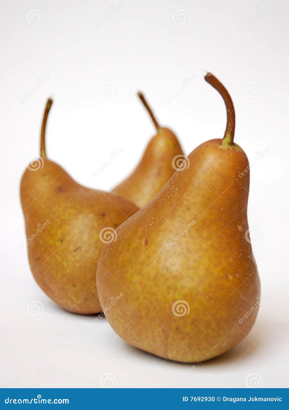 Three pears stock photo. Image of food, pears, pear, healthy - 7692930