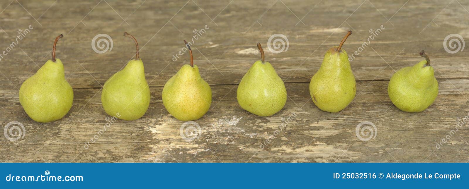 Three pears in a row stock photo. Image of fruit, ripe - 25032516