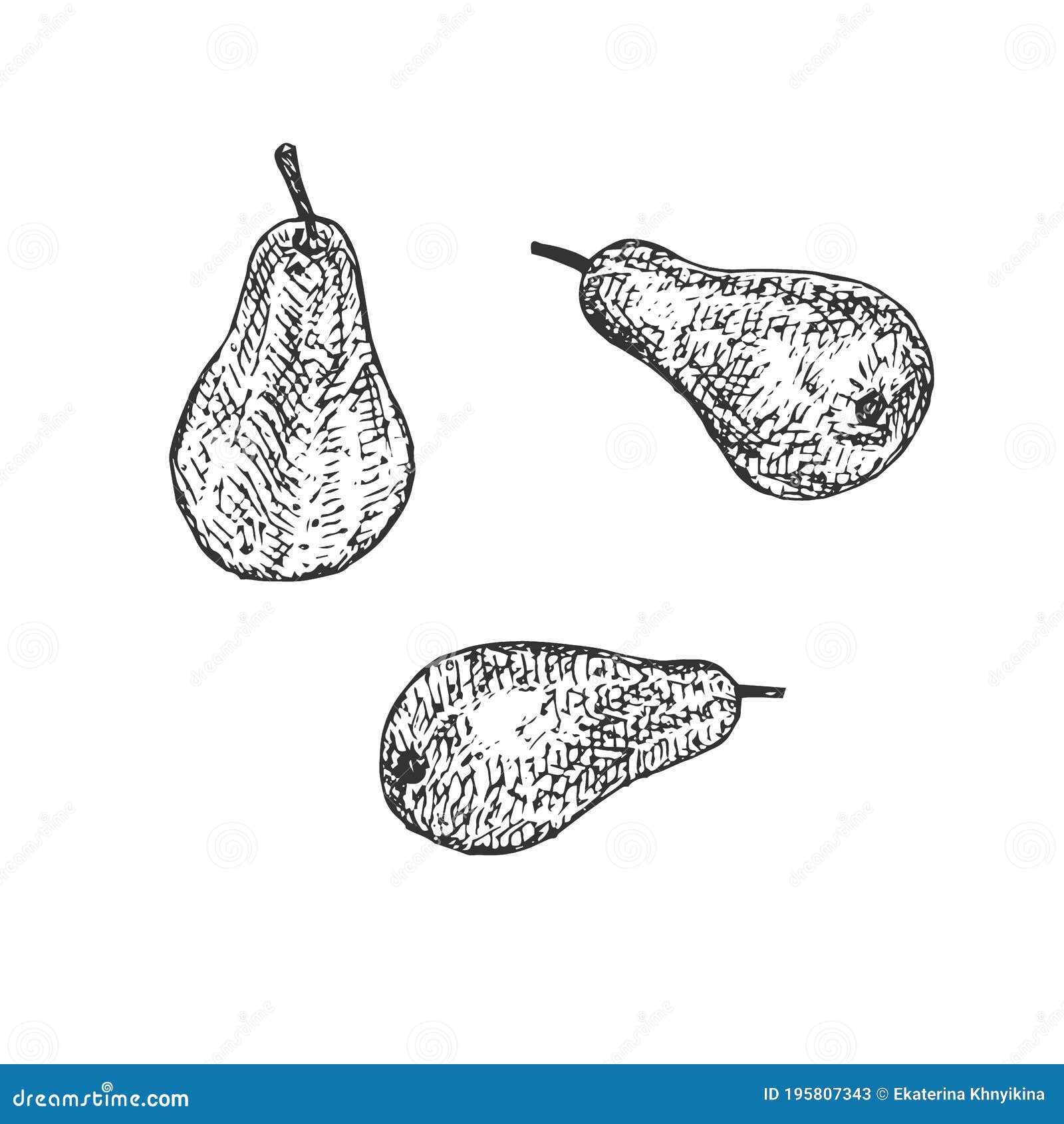 Three Pears, Vector Illustration, Hand Drawing, Hatching Stock ...